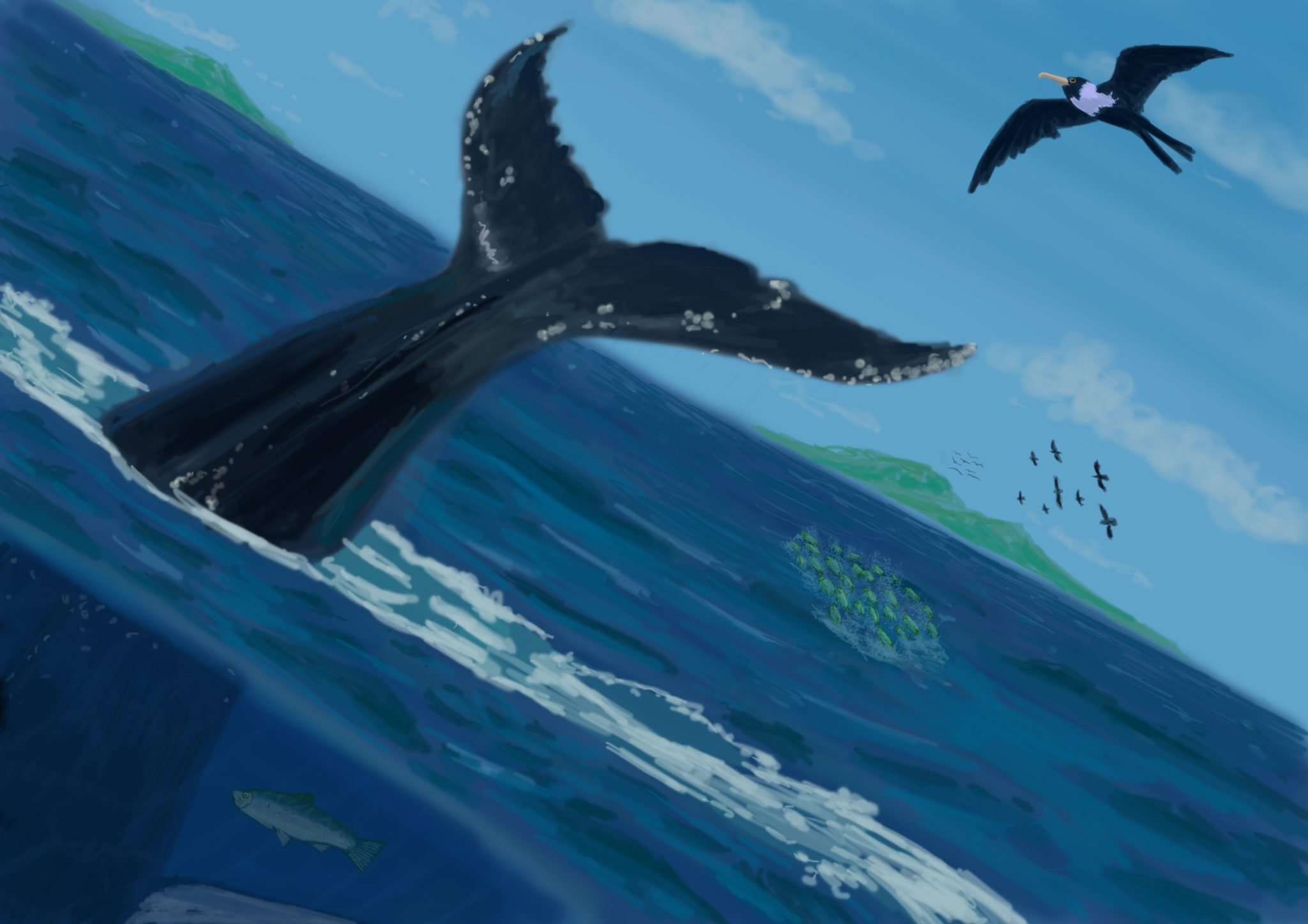 Materials – Godly Play Australia